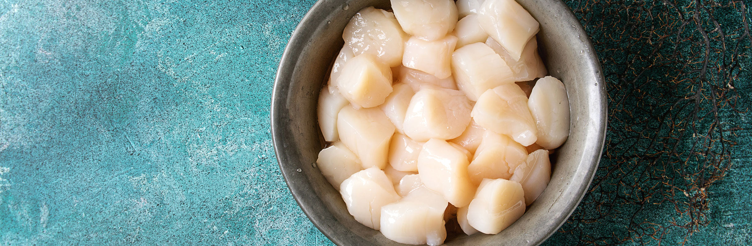 Buy Scallops - Large Scallops - Sea Scallops & Weathervane Scallops ...